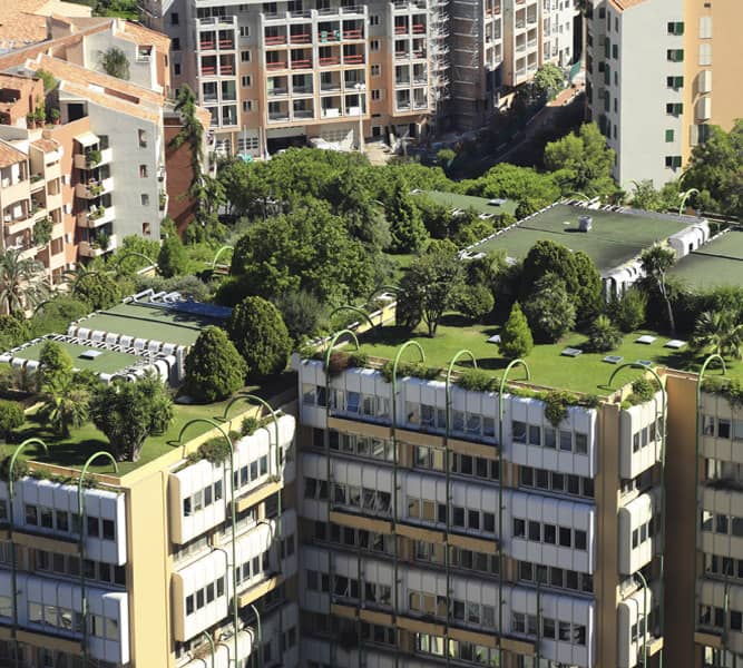 Básicos para la construcción de una azotea verde